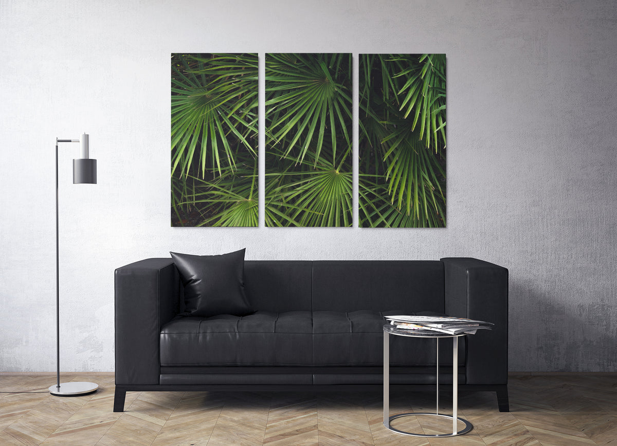3-Piece Canvas